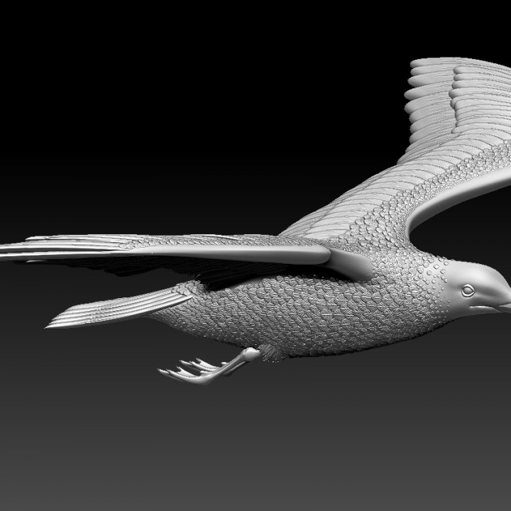 3D Printable seagull by Dmitry Tishchenkov