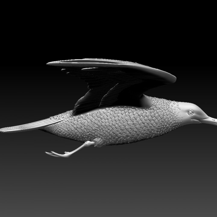 3D Printable seagull by Dmitry Tishchenkov
