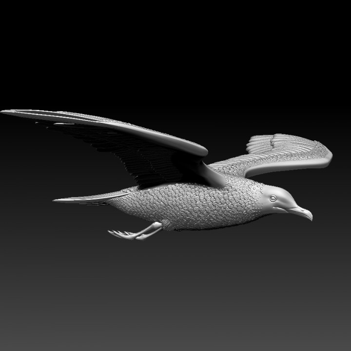 3D Printable seagull by Dmitry Tishchenkov