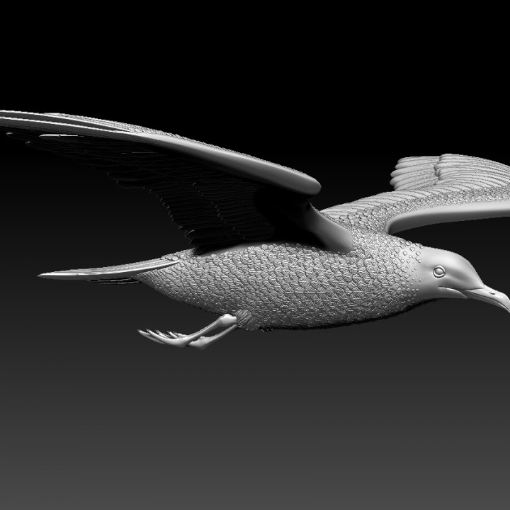 3D Printable seagull by Dmitry Tishchenkov
