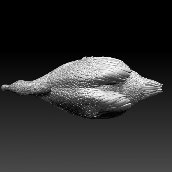 3D Printable swan by Dmitry Tishchenkov