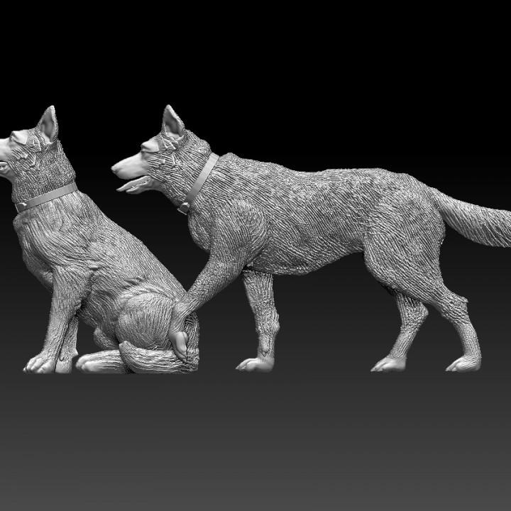 3D Printable shepherd dog by 3Dimontis