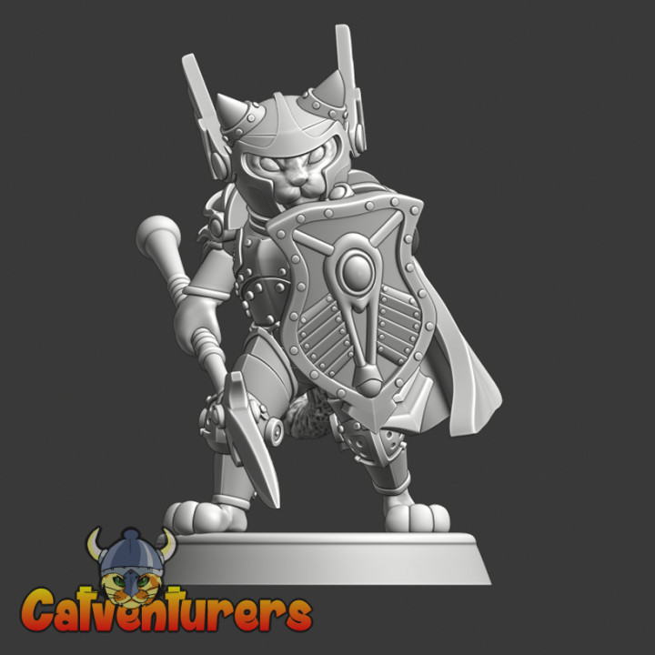 3D Printable Paladin Cat Miniature by Ruperto Dinamita