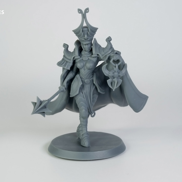 3D Printable Sanctum Guardian Pose 2 - 2 Variants + Pinup by PSMiniatures