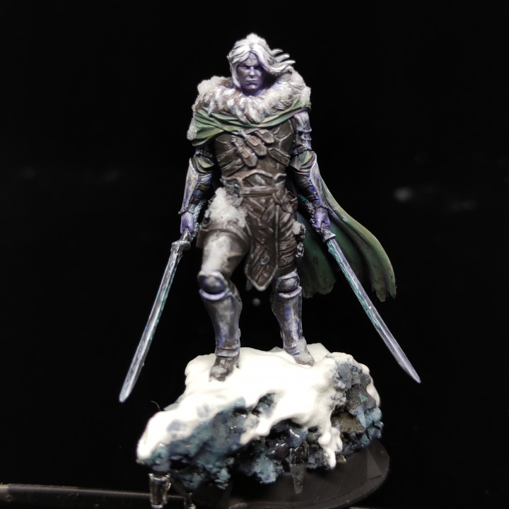 3D Print of Zelyth Moonblade by Janoo