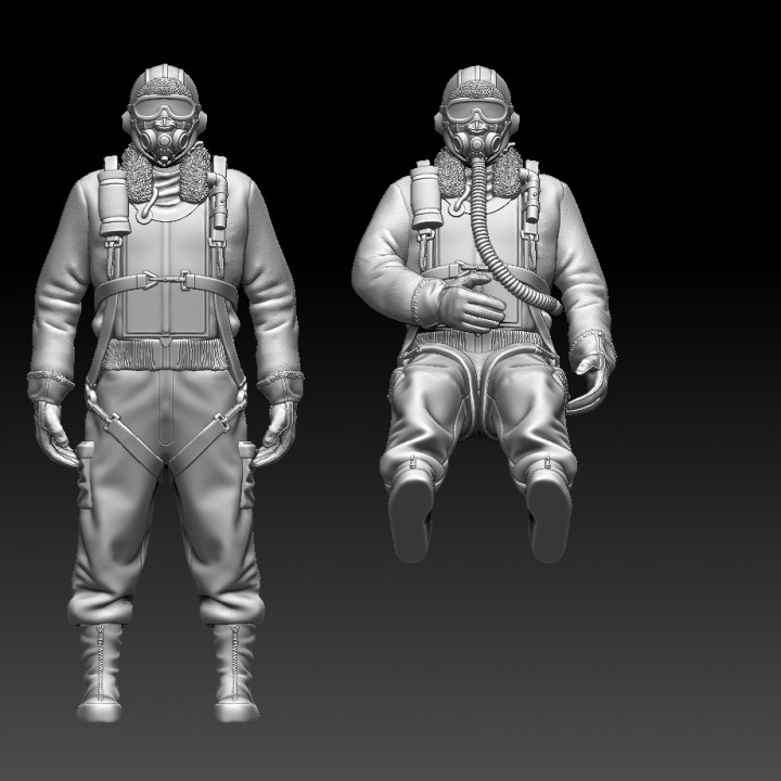 3D Printable pilot us by 3Dimontis