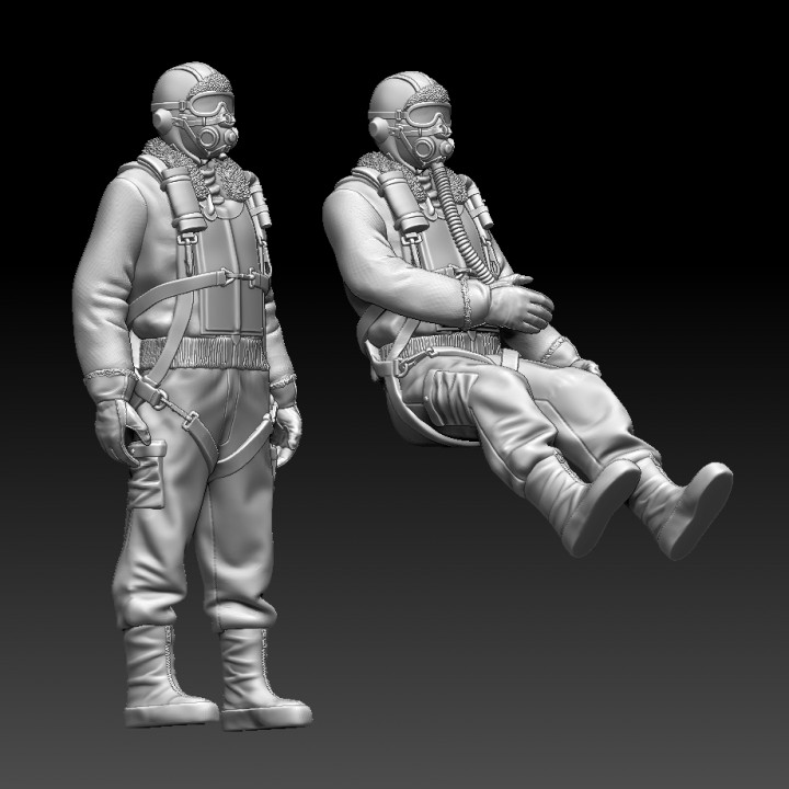 3D Printable pilot us by 3Dimontis