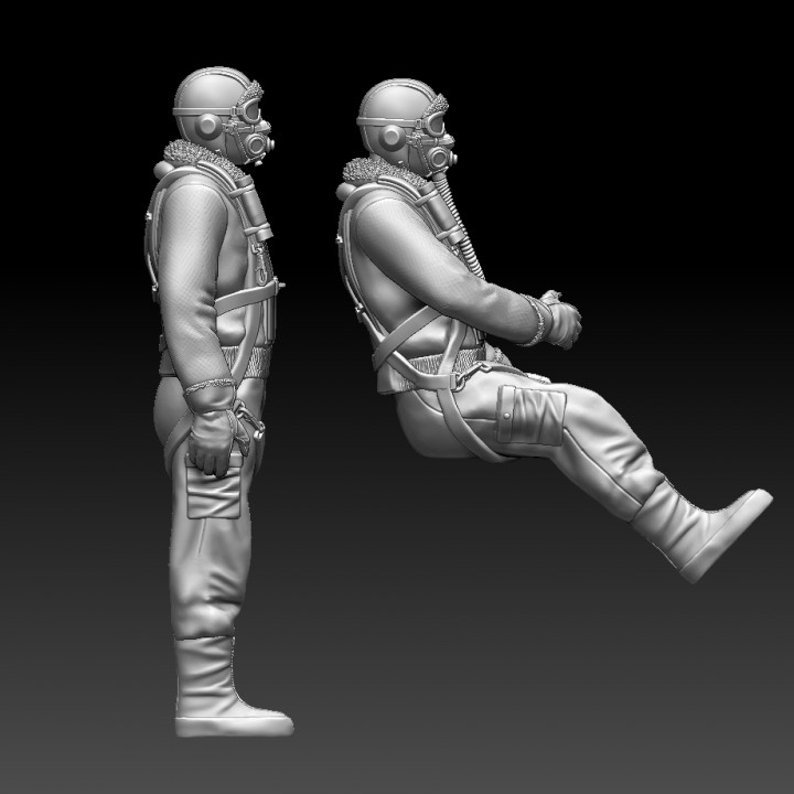 3D Printable pilot us by 3Dimontis
