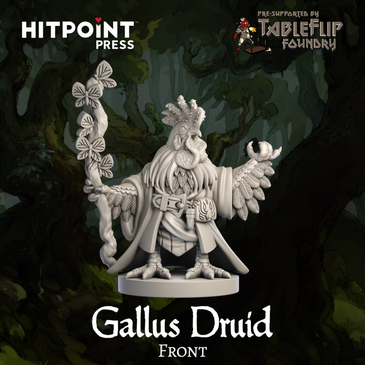 3D Printable HUMBLEWOOD - Gallus Druid by Hit Point Press