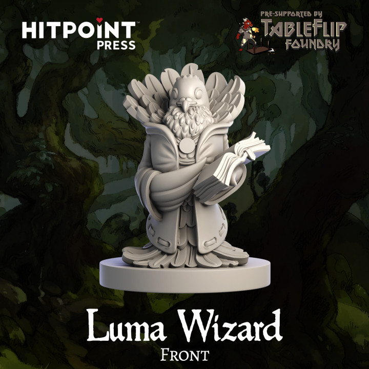 3D Printable HUMBLEWOOD - Luma Wizard by Hit Point Press