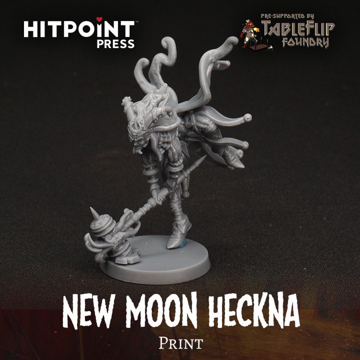 3D Printable HECKNA! - HECKNA HIMSELF BUNDLE by Hit Point Press
