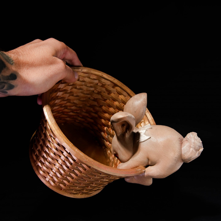 3D Printable Easter Bunny Baskets - Curious Bunny by Stlflix