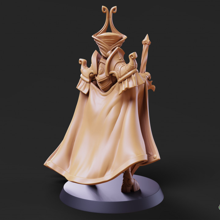 3D Printable Sanctum Guardian Pose 3 - 2 Variants + Pinup by PSMiniatures