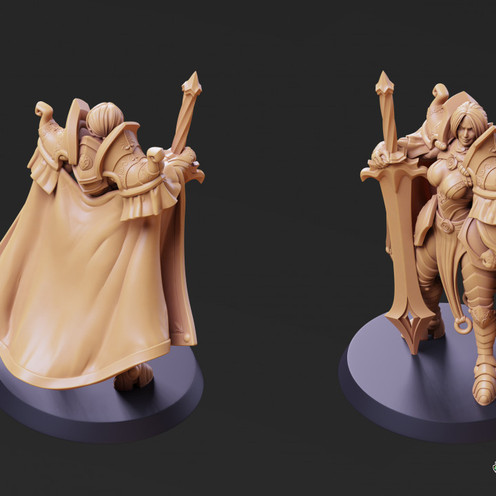 3D Printable Sanctum Guardian Pose 3 - 2 Variants + Pinup by PSMiniatures