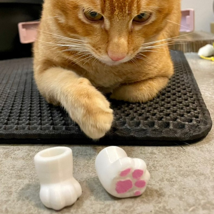 3D Printable Finger Cat Paw by Ning