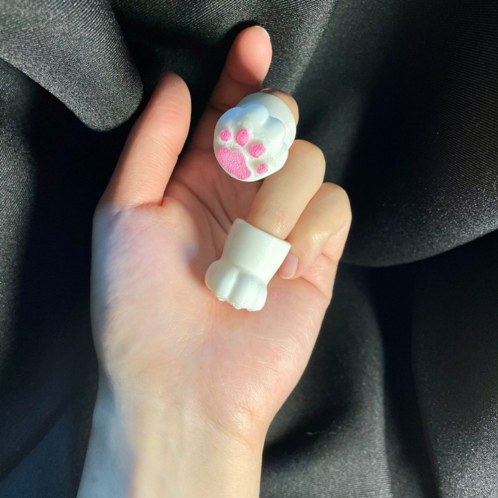 3D Printable Finger Cat Paw by Ning