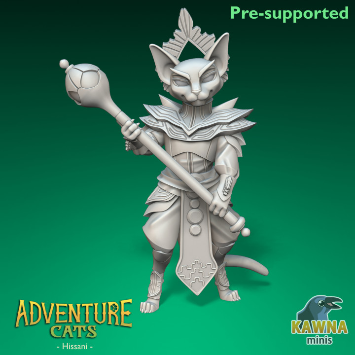 3D Printable Hissani Cleric Cat - Male by Kawna Minis