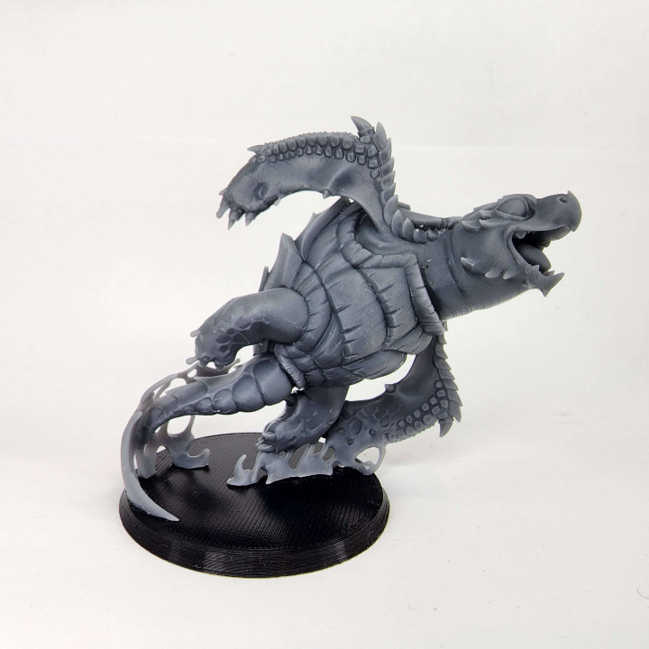3D Printable Baby Dragon Turtle by Manuel Boria