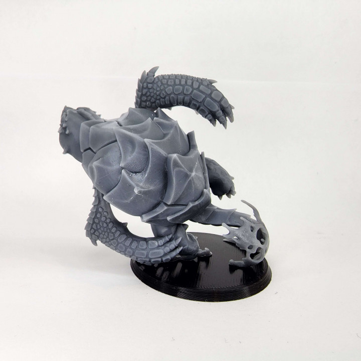 3D Printable Baby Dragon Turtle by Manuel Boria