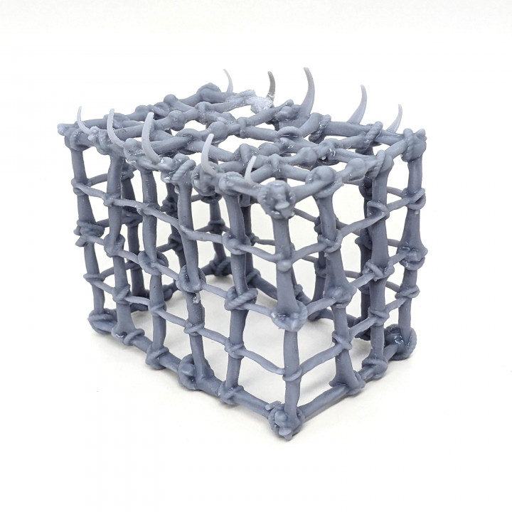 3D Printable Bone Cage by Custom Miniature Maker