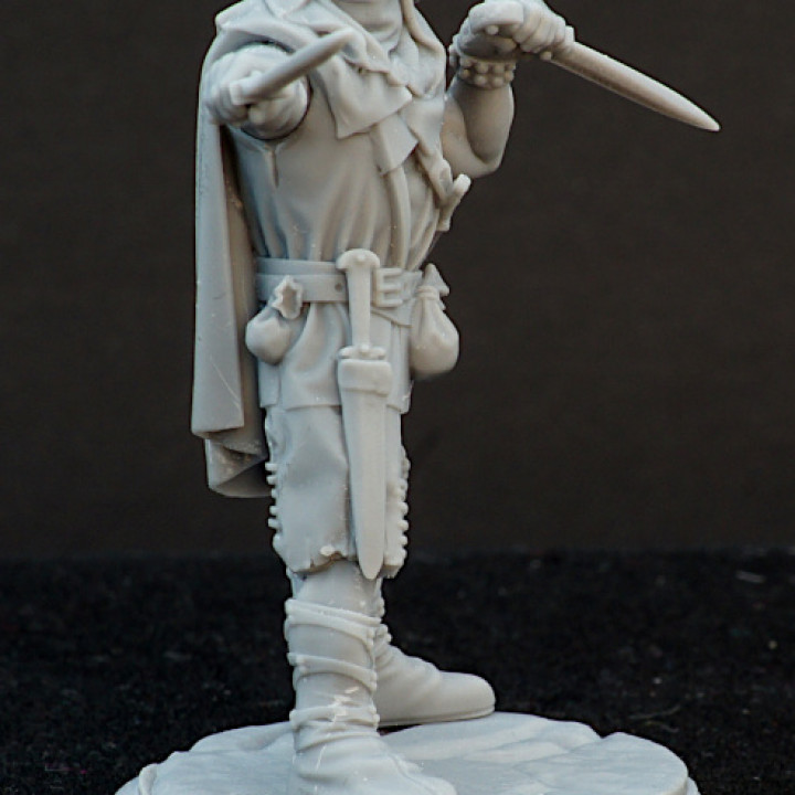 3D Print of BANDIT: Dobbs the Crazy /Modular/ /Free Sample/ by Tomkow