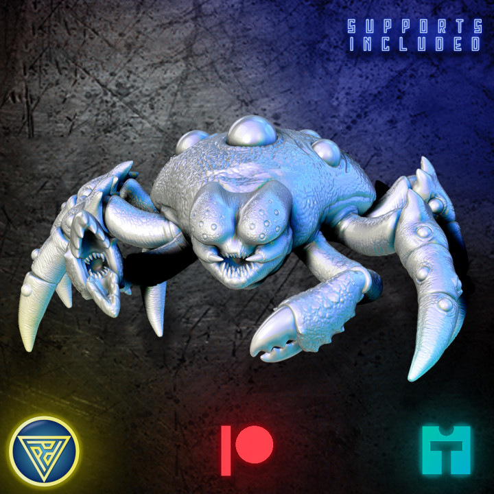 3D Printable Brain Collector Set by Print Paint Play