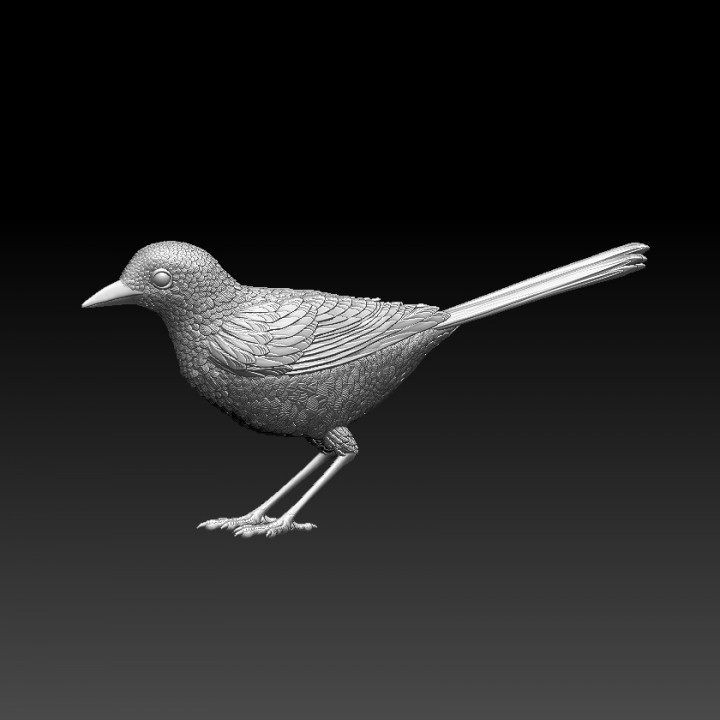 3D Printable wagtail by 3Dimontis