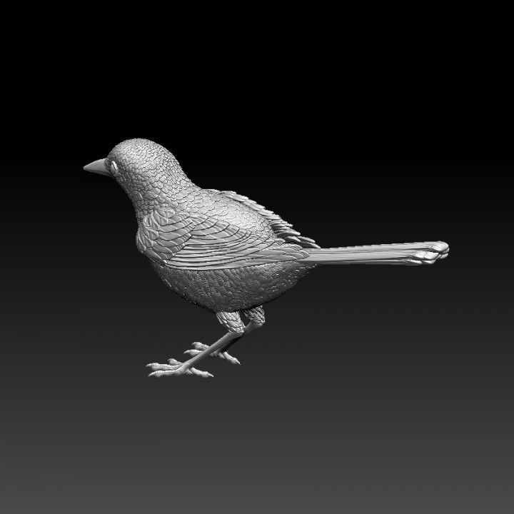 3D Printable wagtail by 3Dimontis