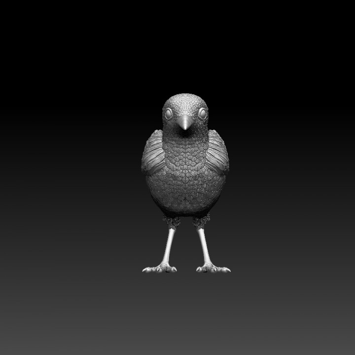 3D Printable wagtail by 3Dimontis