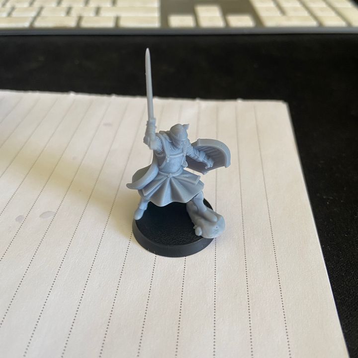 3D Print of 6x High Human Warrior with Sword and Shield | High Humans ...