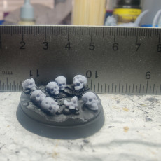 3D Printable Skull Pack by The Print Wizard