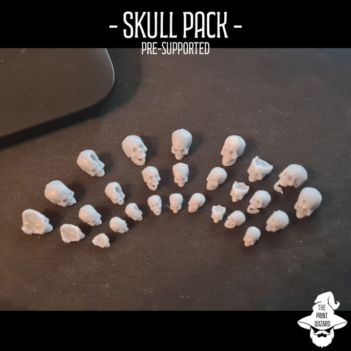 3D Printable Skull Pack by The Print Wizard