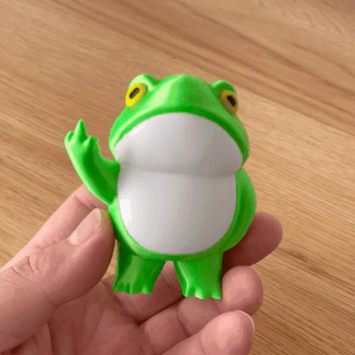 3D Printable Cute Frog Middle Finger Figurine - No Supports by IK3D