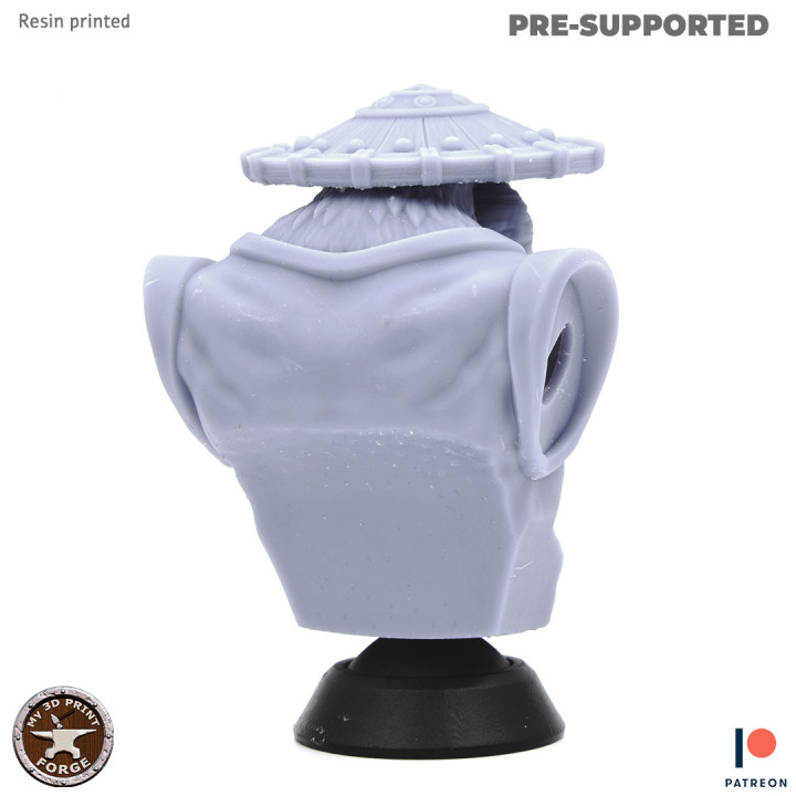 3D Printable Panda Leader BUST by My3DPrintForge