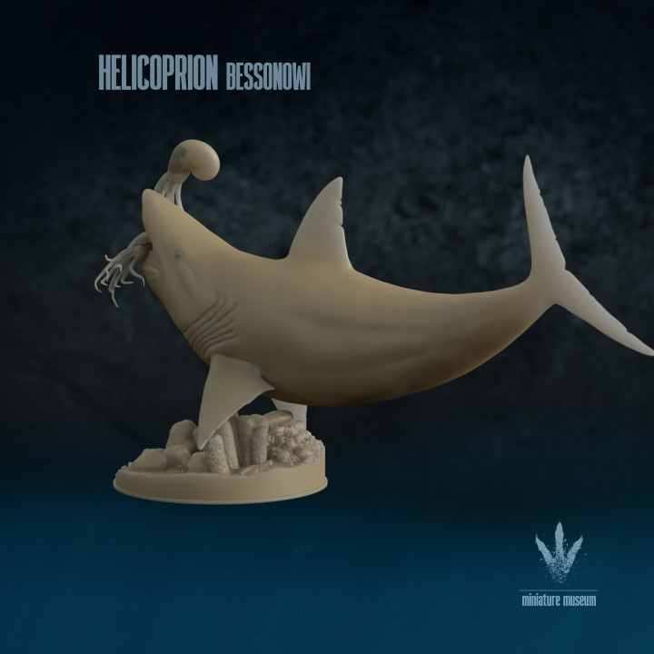 3D Printable Helicoprion bessonowi : Feeding by Miniature Museum