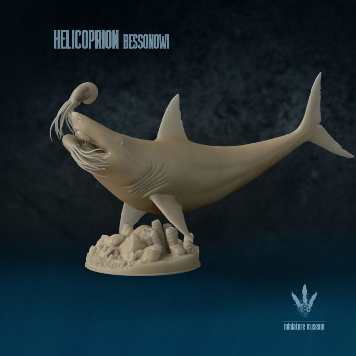 3D Printable Helicoprion bessonowi : Feeding by Miniature Museum