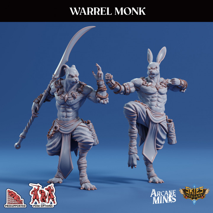 3D Printable Warrel Monk by Sordane Publishing