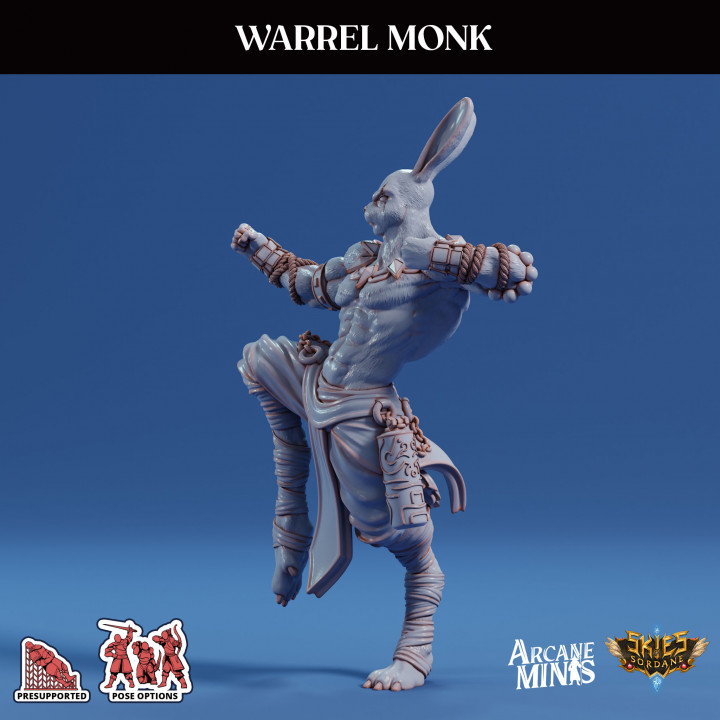 3D Printable Warrel Monk by Sordane Publishing