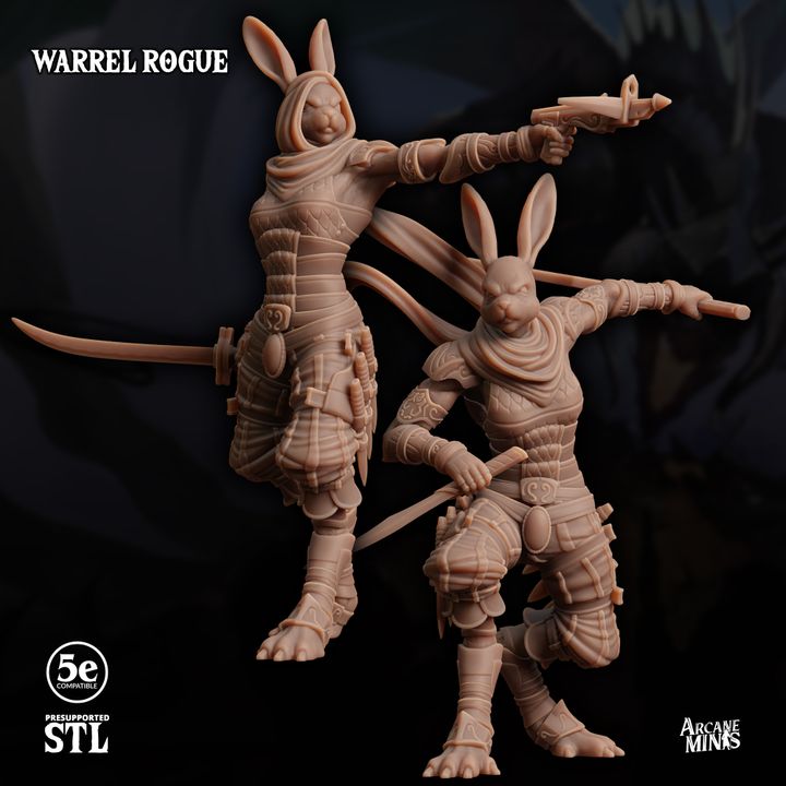 3D Printable Warrel Rogue by Sordane Publishing