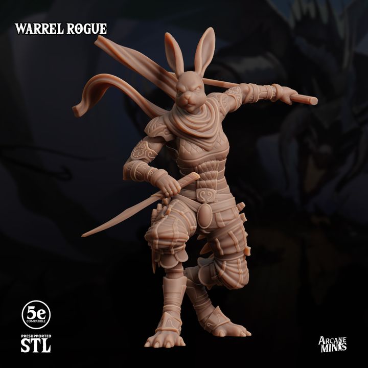 3D Printable Warrel Rogue by Sordane Publishing