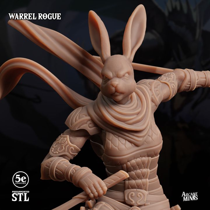 3D Printable Warrel Rogue by Sordane Publishing