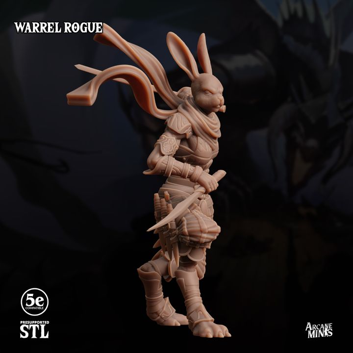 3D Printable Warrel Rogue by Sordane Publishing