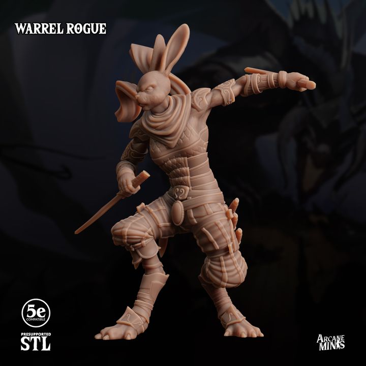 3D Printable Warrel Rogue by Sordane Publishing