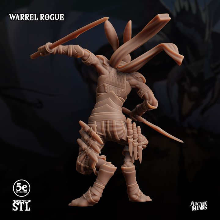 3D Printable Warrel Rogue by Sordane Publishing