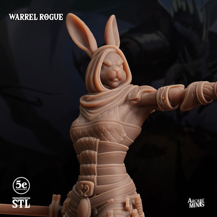 3D Printable Warrel Rogue by Sordane Publishing