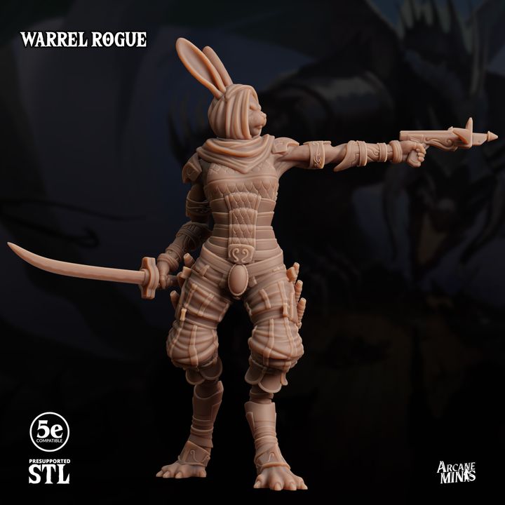 3D Printable Warrel Rogue by Sordane Publishing