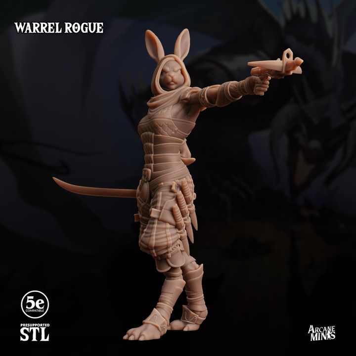 3D Printable Warrel Rogue by Sordane Publishing