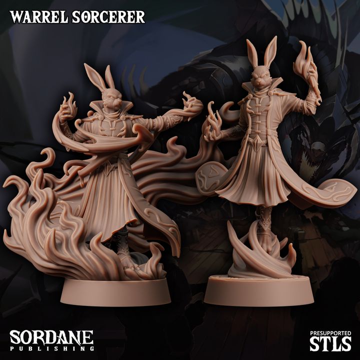 3D Printable Warrel Sorcerer by Sordane Publishing