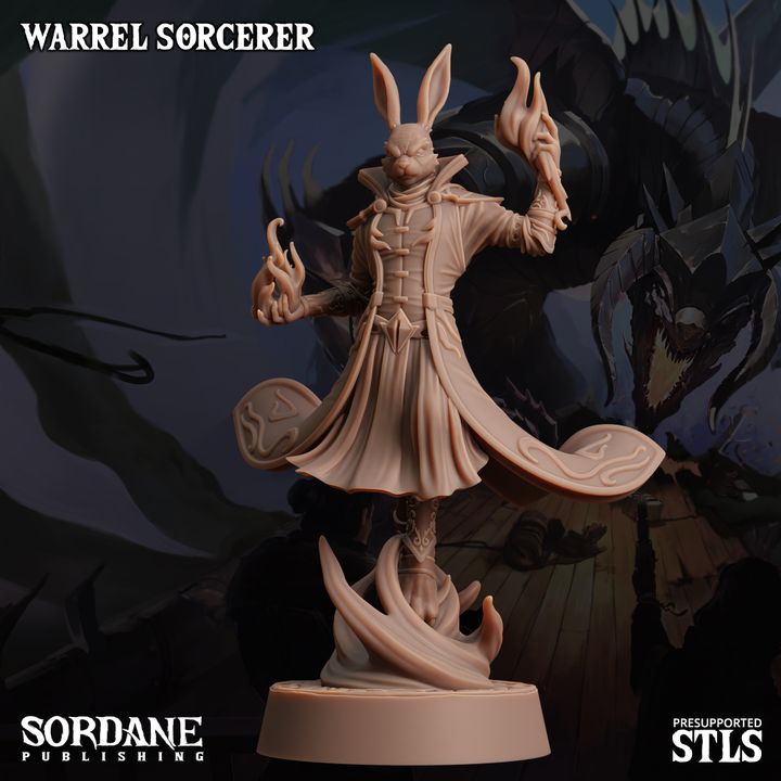 3D Printable Warrel Sorcerer by Sordane Publishing