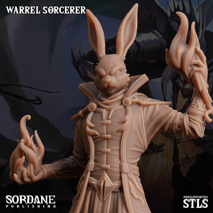 3D Printable Warrel Sorcerer by Sordane Publishing